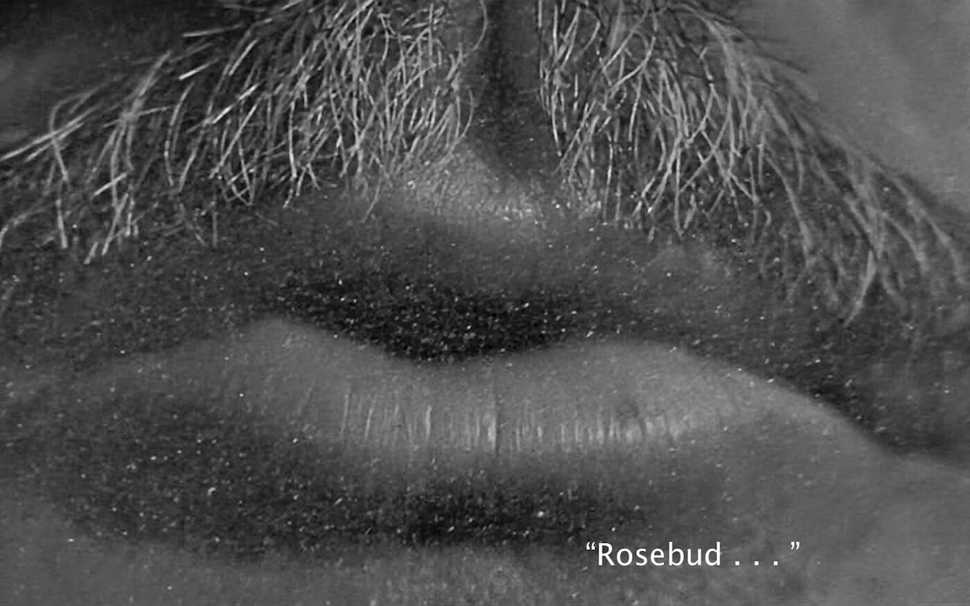 Ultimate Guide to Camera Shots [50+ Types of Shots and Angles in Film]